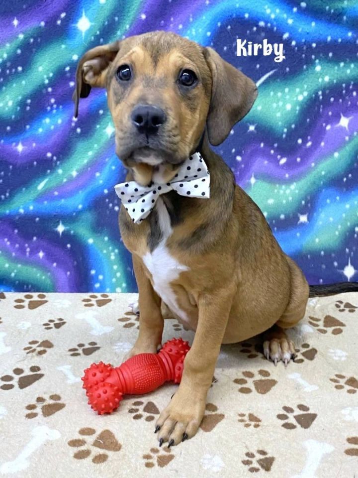 KIRBY - ABC Columbia