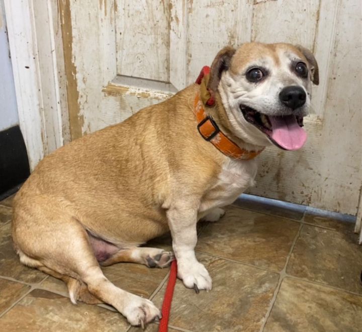 ROXY-LOU - ABC Columbia