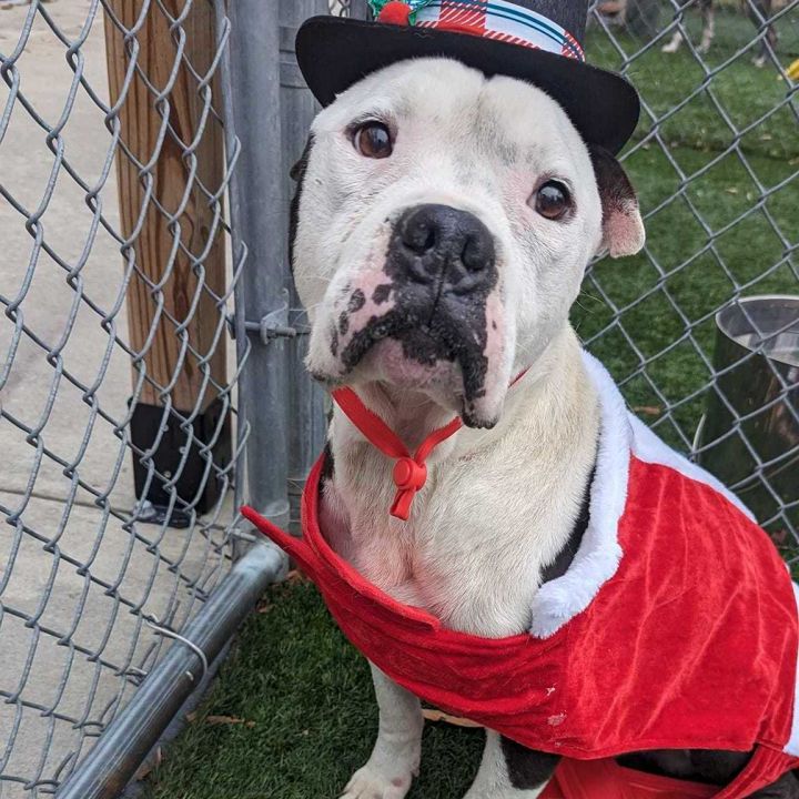 WALDO - ABC Columbia