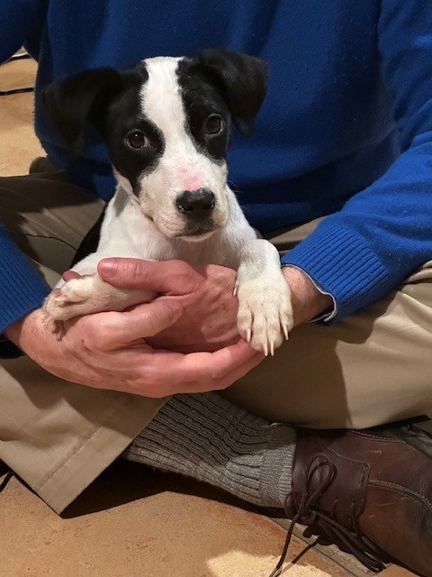 COOPER - ABC Columbia