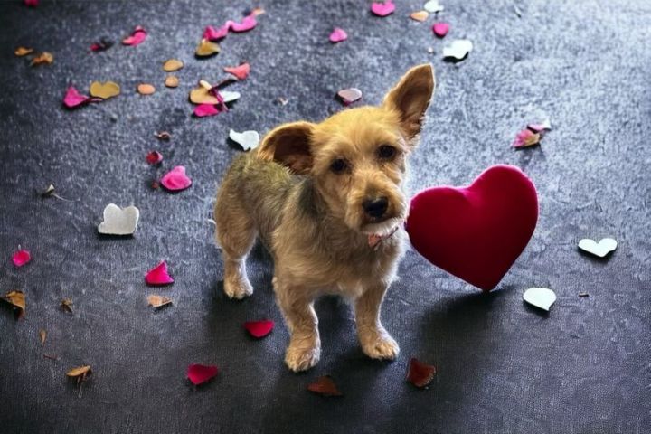 SASSY - ABC Columbia