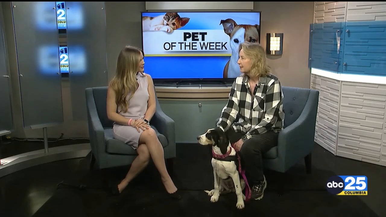 GRACE PET OF THE WEEK - ABC Columbia