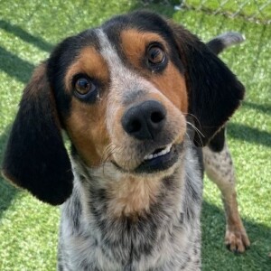 EARNEST - ABC Columbia