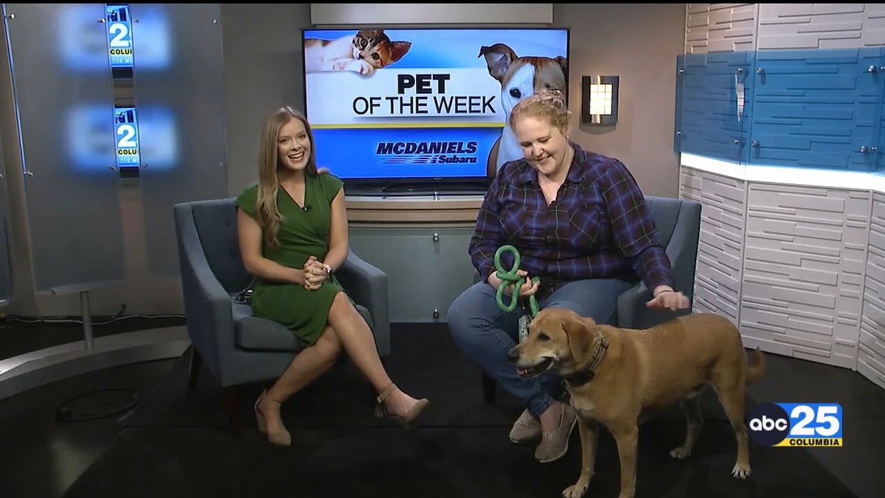Pet of the Week: Murphy! - ABC Columbia