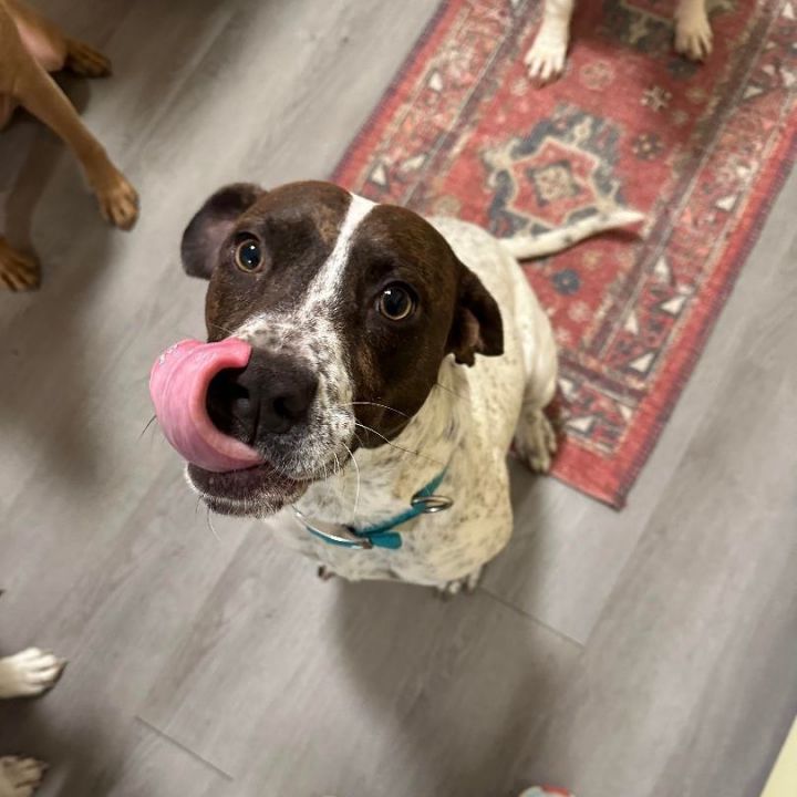 MOLLY MAE - ABC Columbia