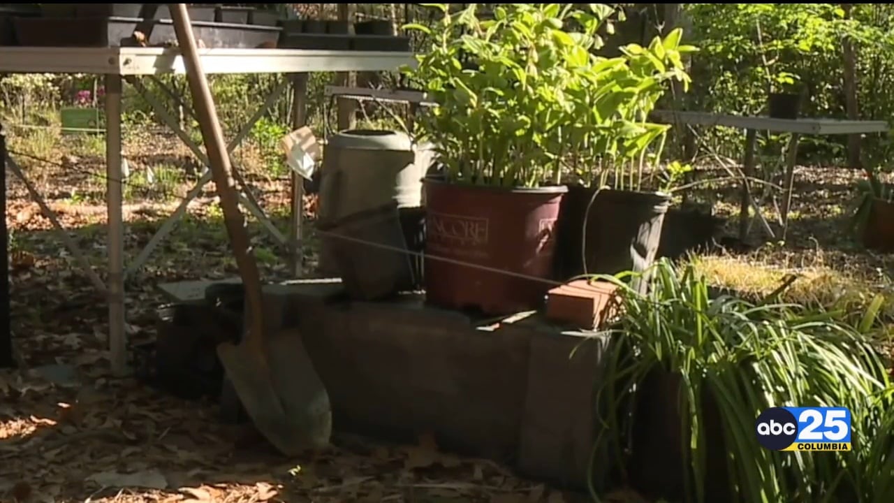 USC students - ABC Columbia