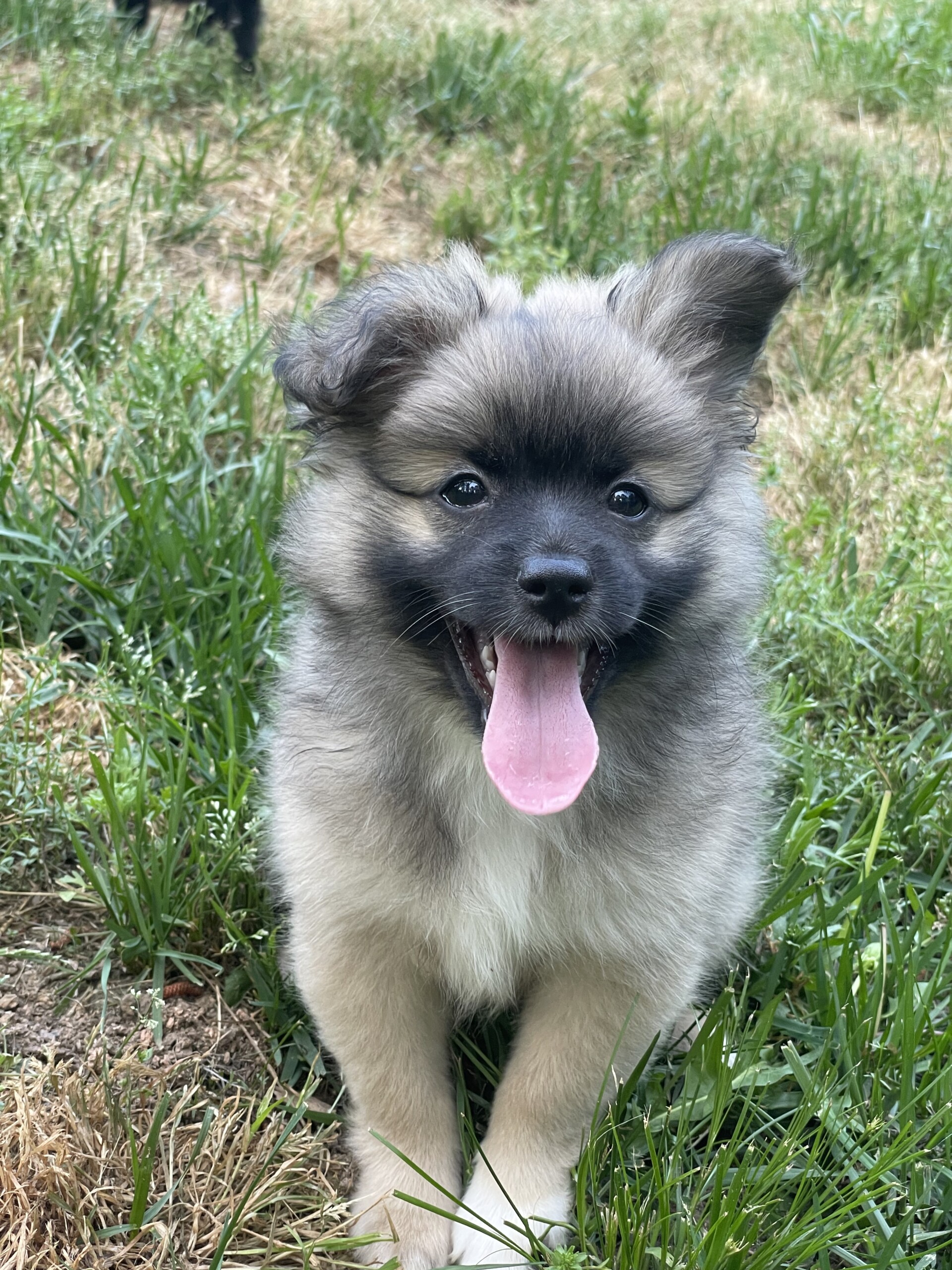 BAXTER - ABC Columbia