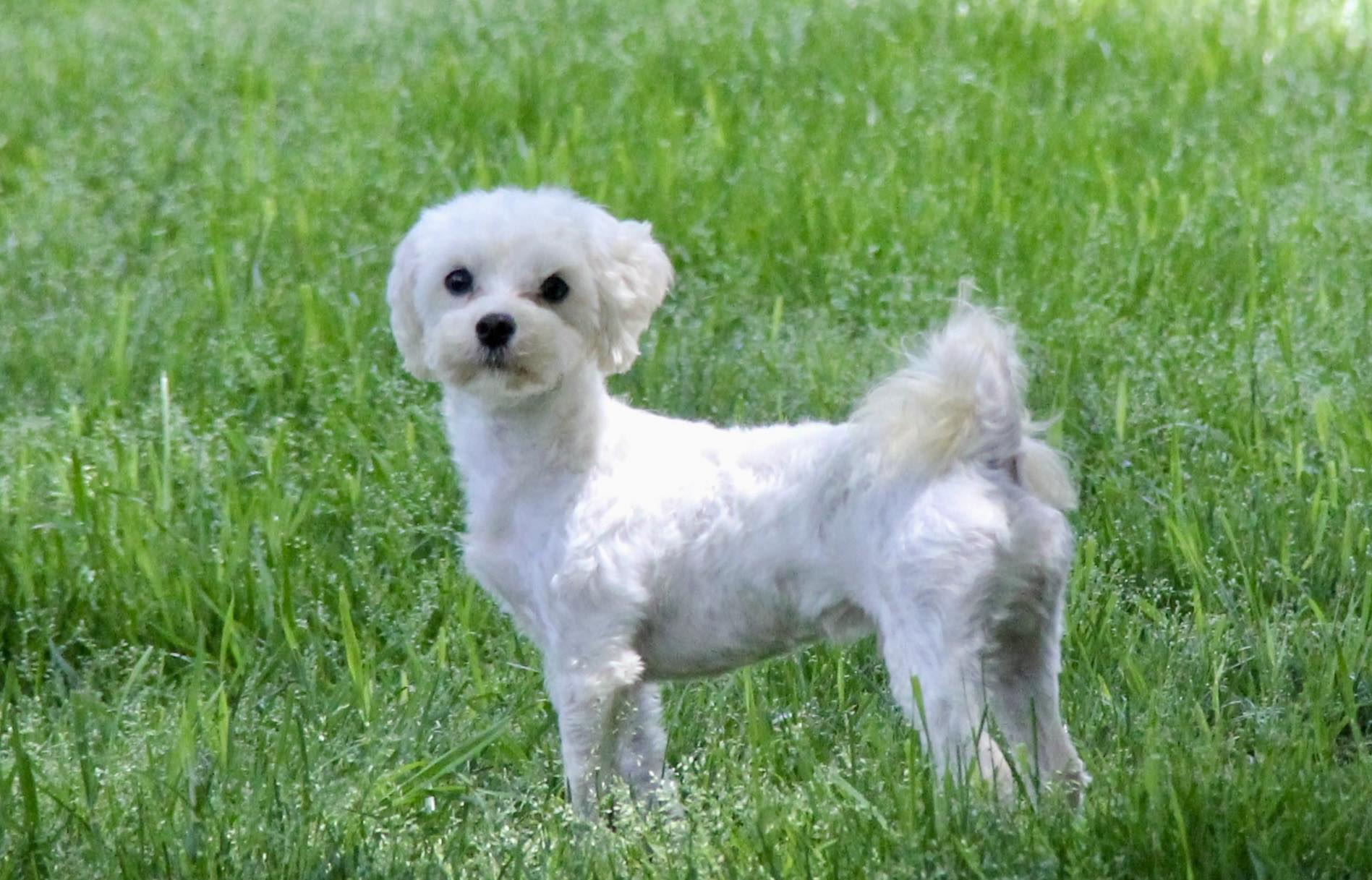 KIRBY - ABC Columbia