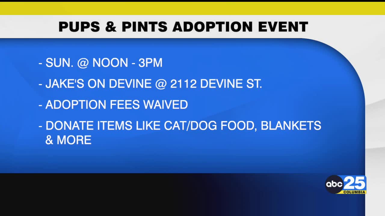 Animal services Pups & Pints adoption event - ABC Columbia
