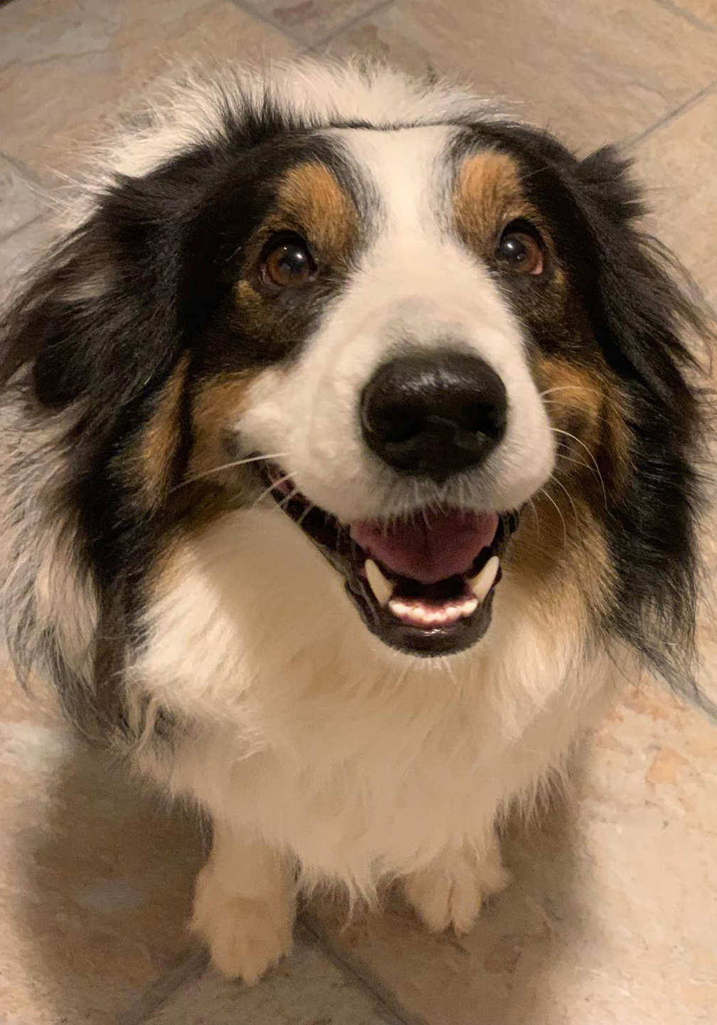 COOPER - ABC Columbia