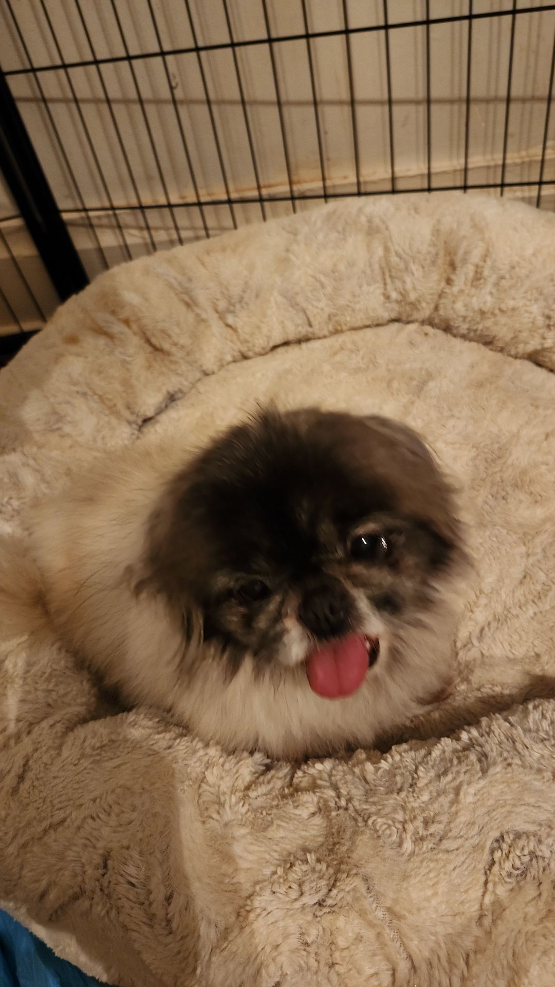 KLOIE - ABC Columbia