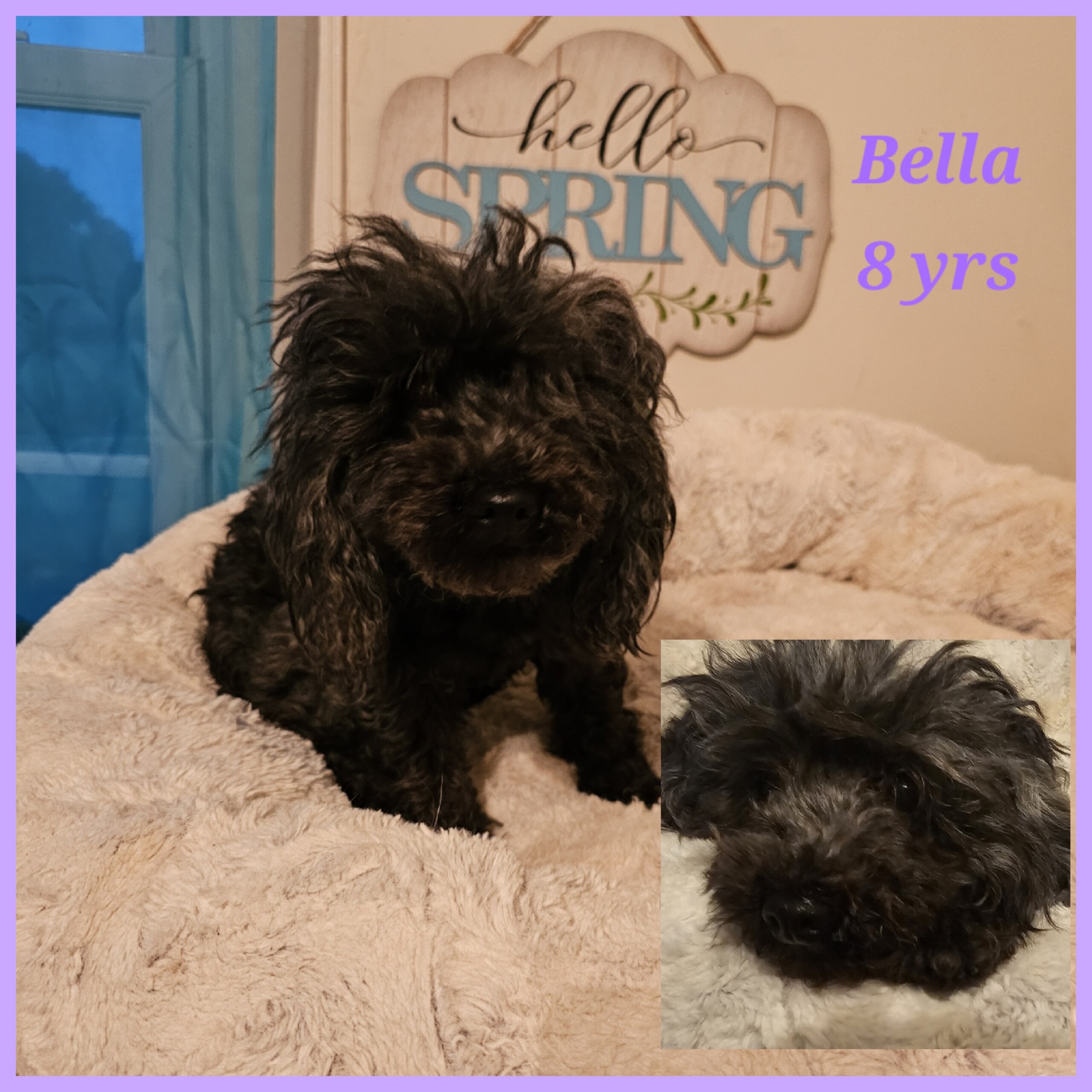 BELLA-MAE - ABC Columbia