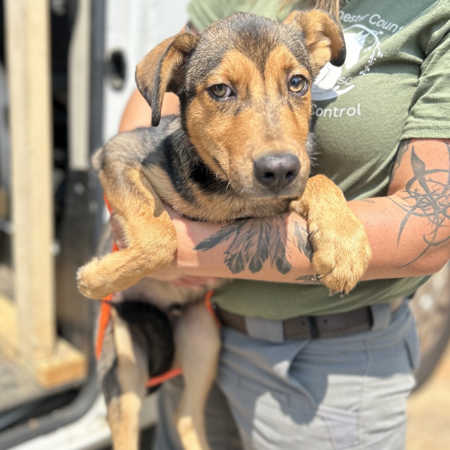 WINNIE POO - ABC Columbia