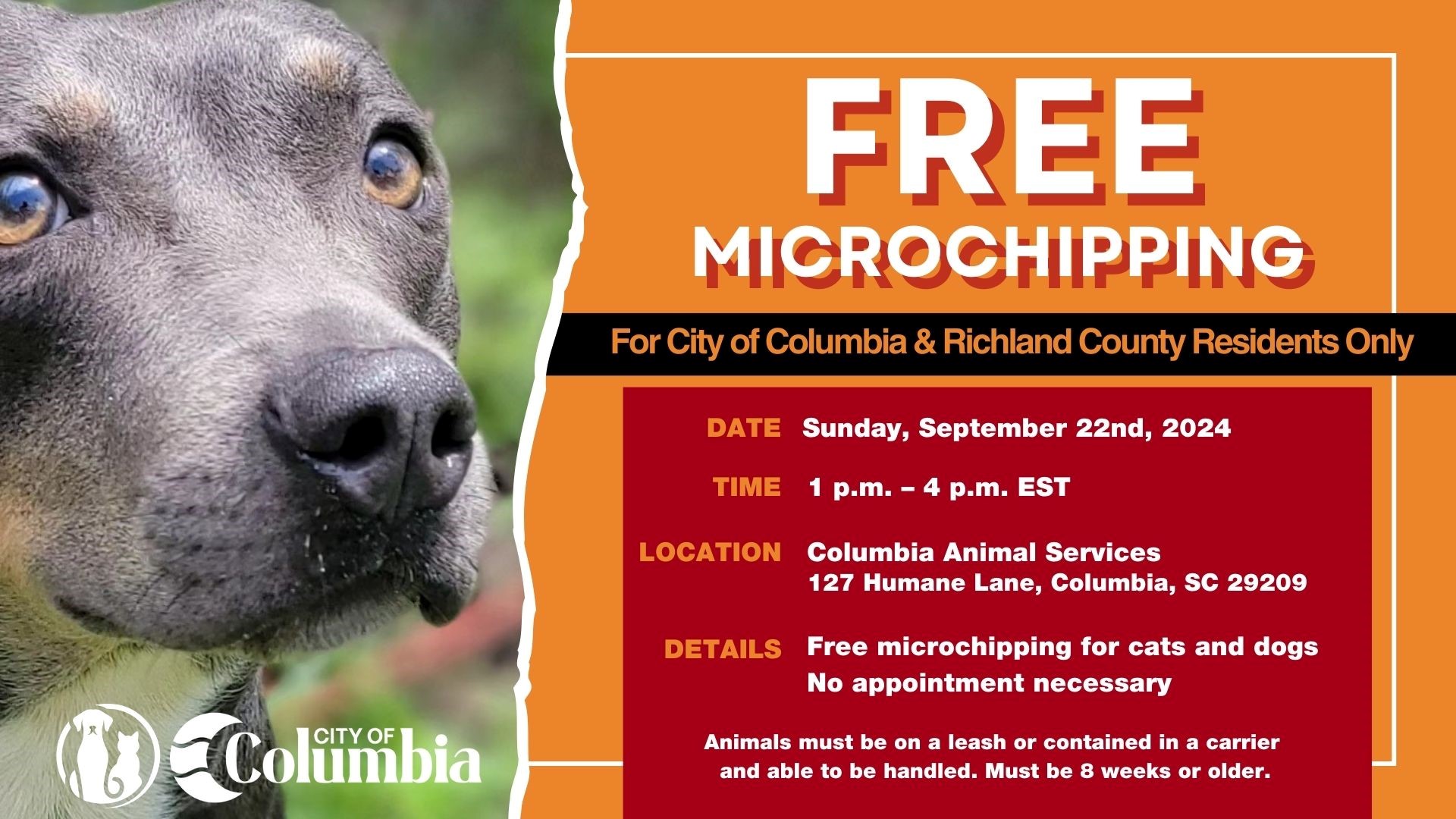 Columbia Animal Services to host free microchipping event - ABC Columbia Columbia Animal Services to host free microchipping event - ABC Columbia