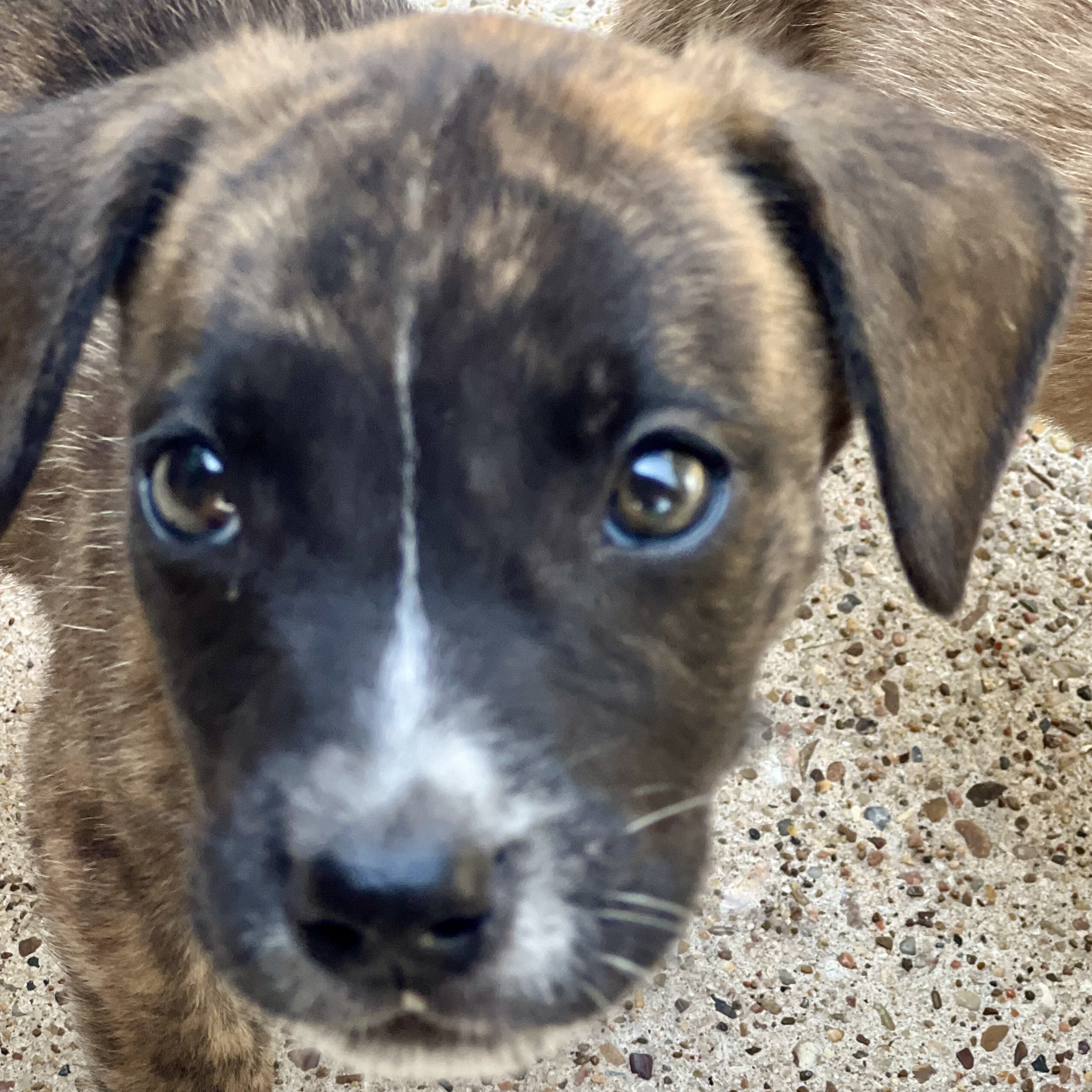 MANNING - ABC Columbia