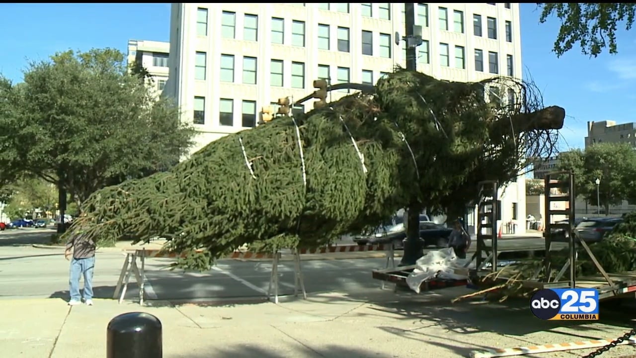 statehouse christmas tree - ABC Columbia