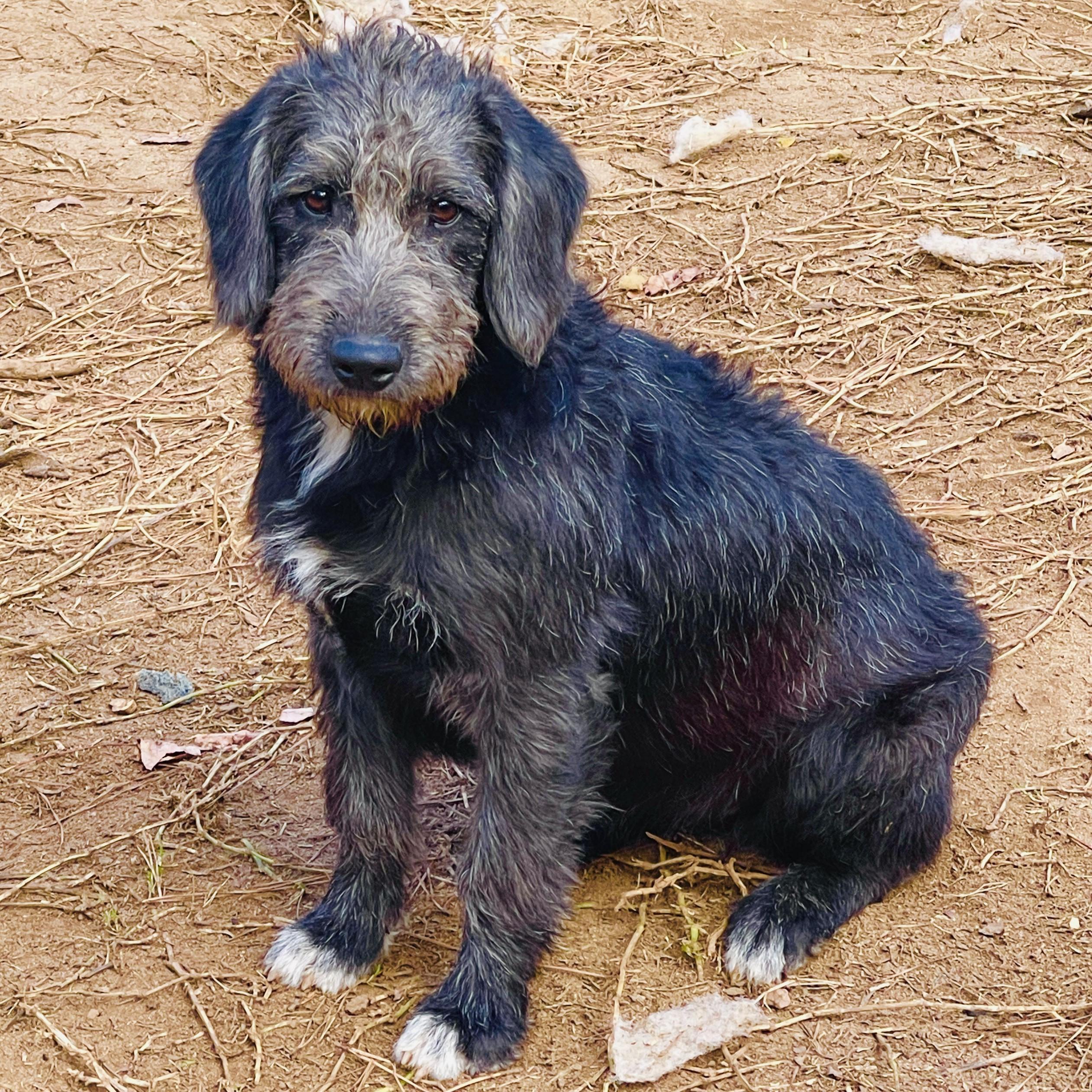 MISTY - ABC Columbia