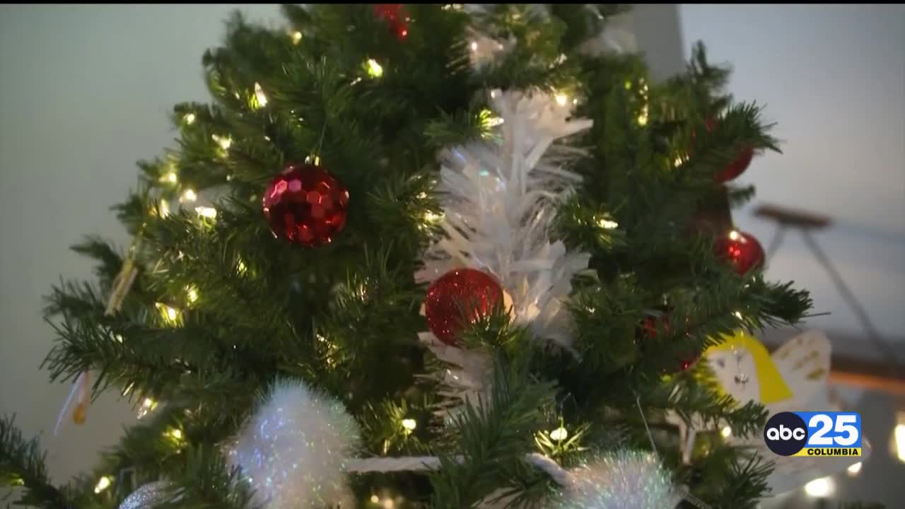 Avoiding Holiday health hazards - ABC Columbia