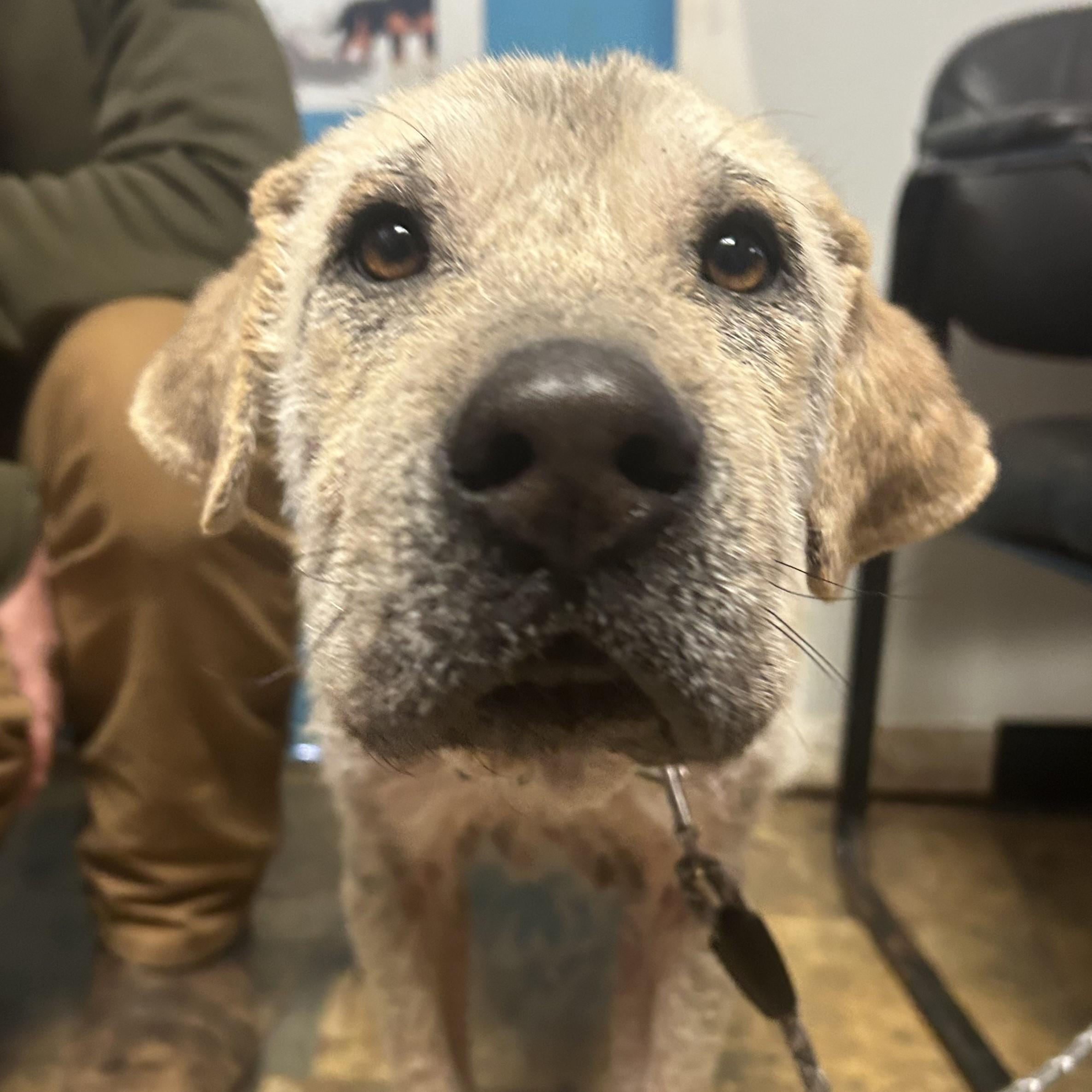 MARVIN - ABC Columbia