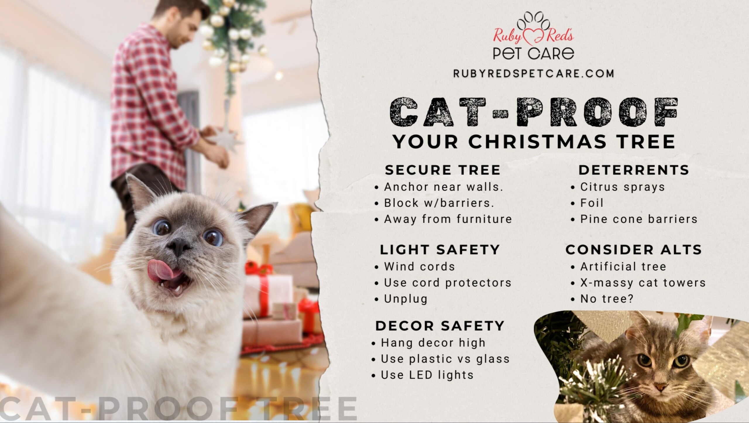 cat proof christmas - ABC Columbia