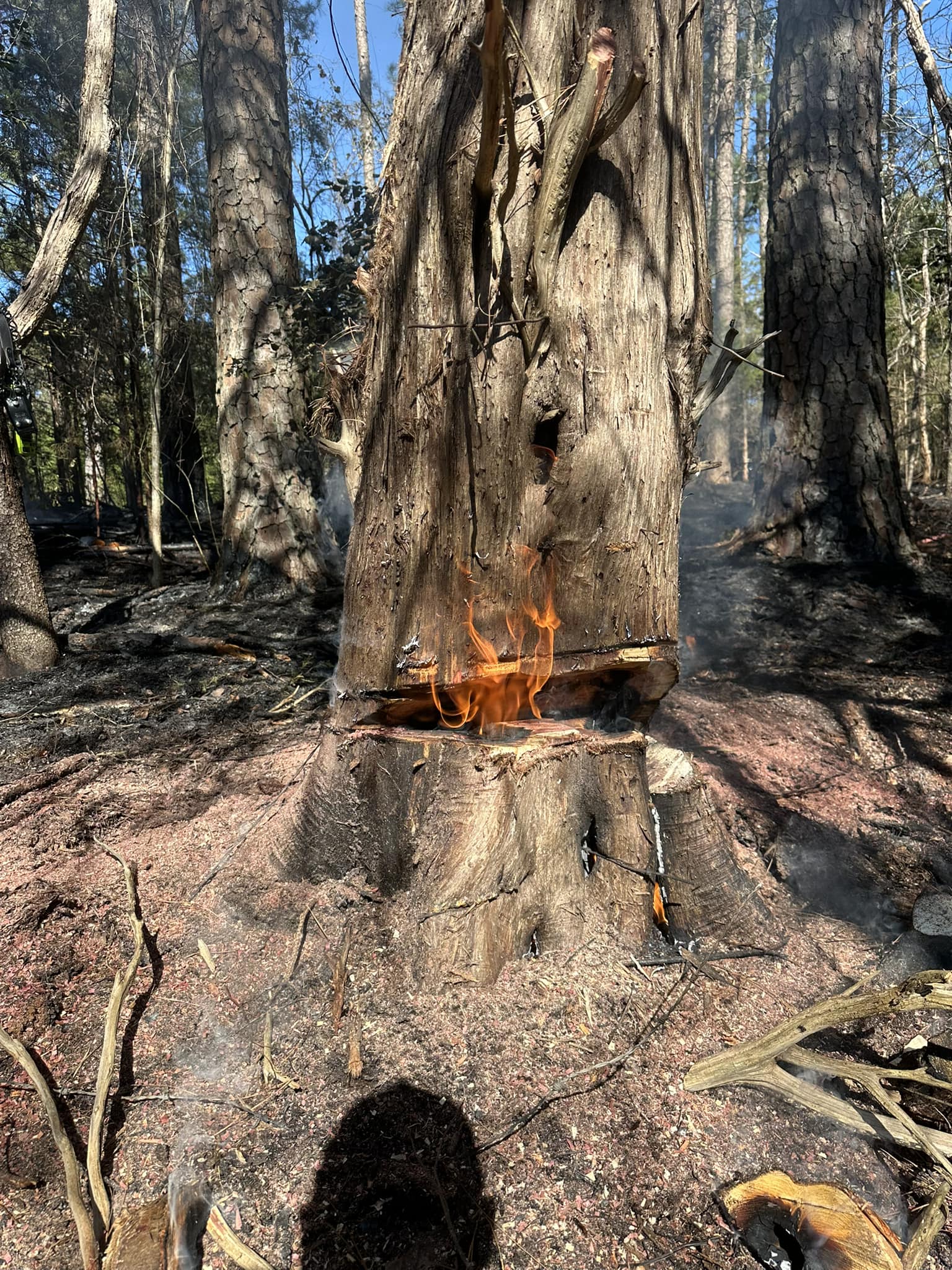 Dutch Fork woods fire 1 - ABC Columbia