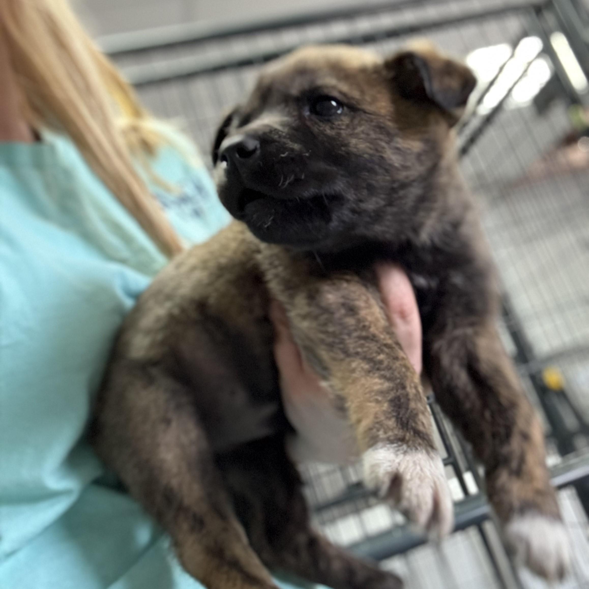 LUCKY LADY - ABC Columbia