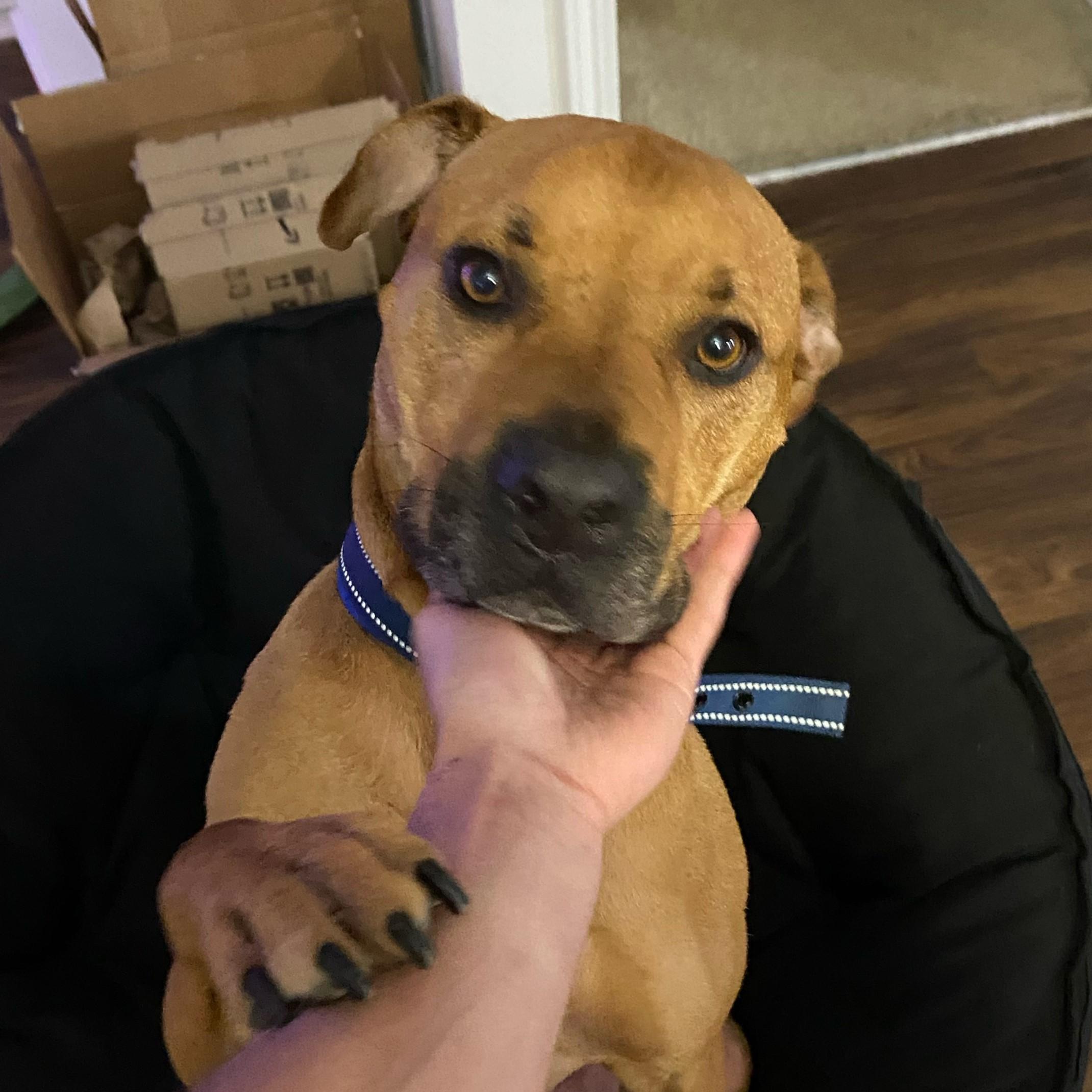 CHARLIE - ABC Columbia