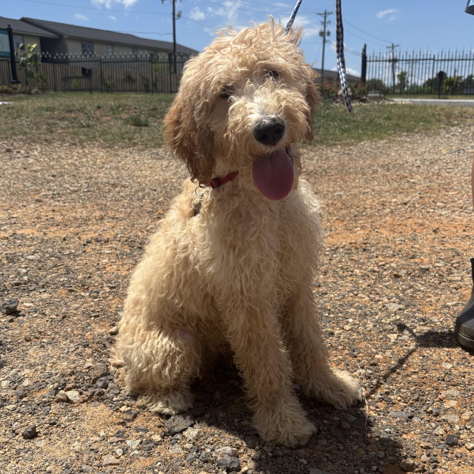 UPS MAN - ABC Columbia