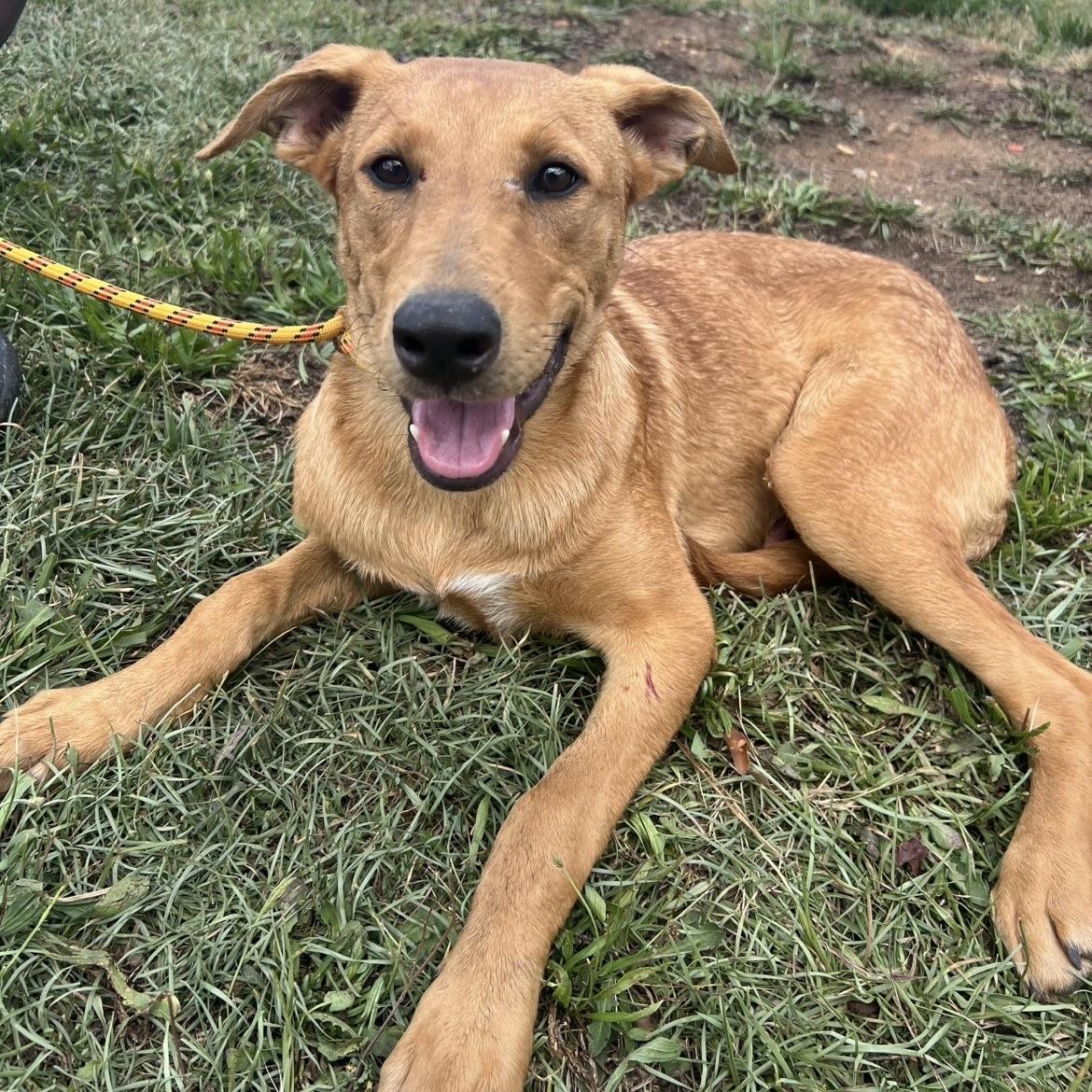 PABLO - ABC Columbia