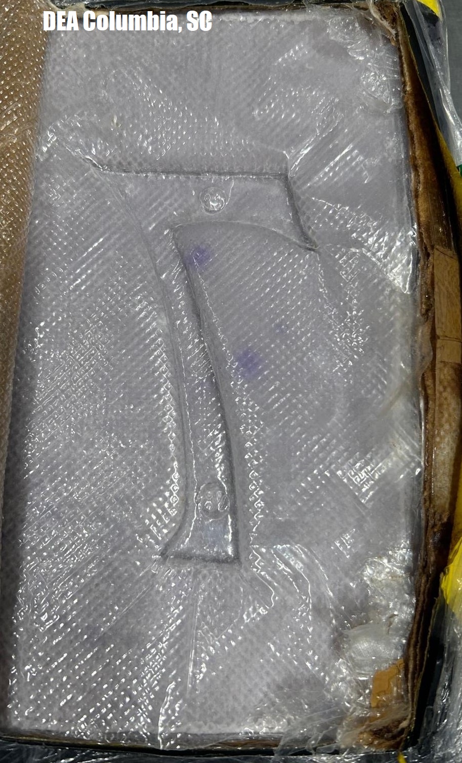 SCDOJ drug bust case - ABC Columbia