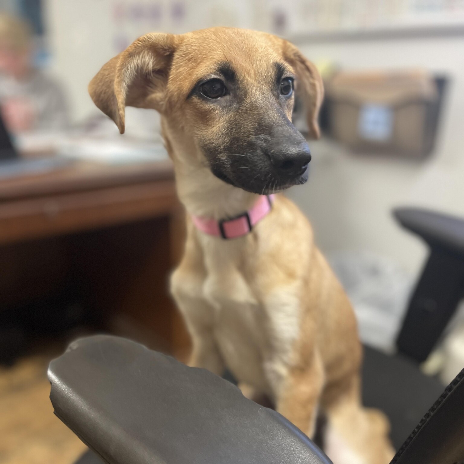 DEVNEY - ABC Columbia