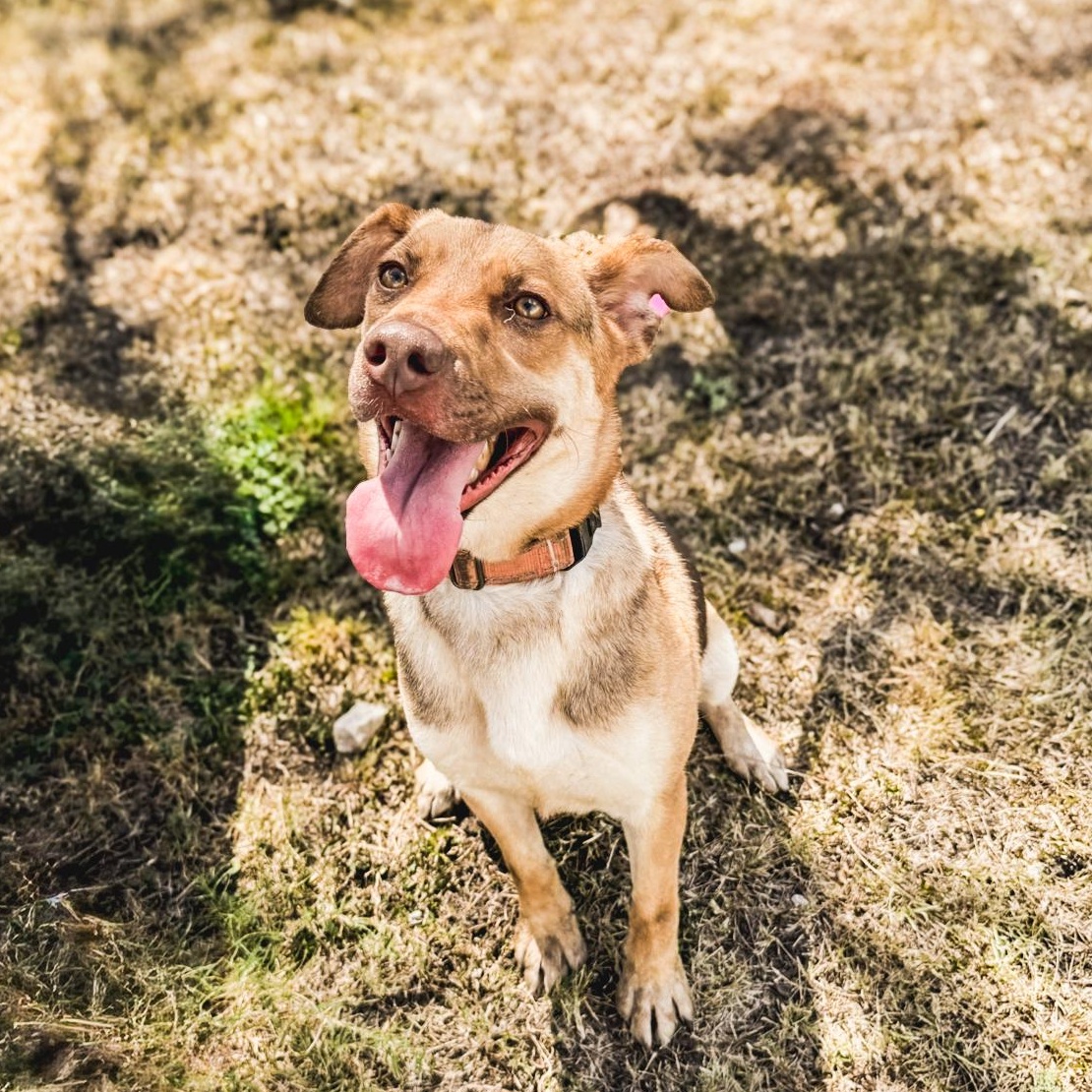 MICHELLE - ABC Columbia