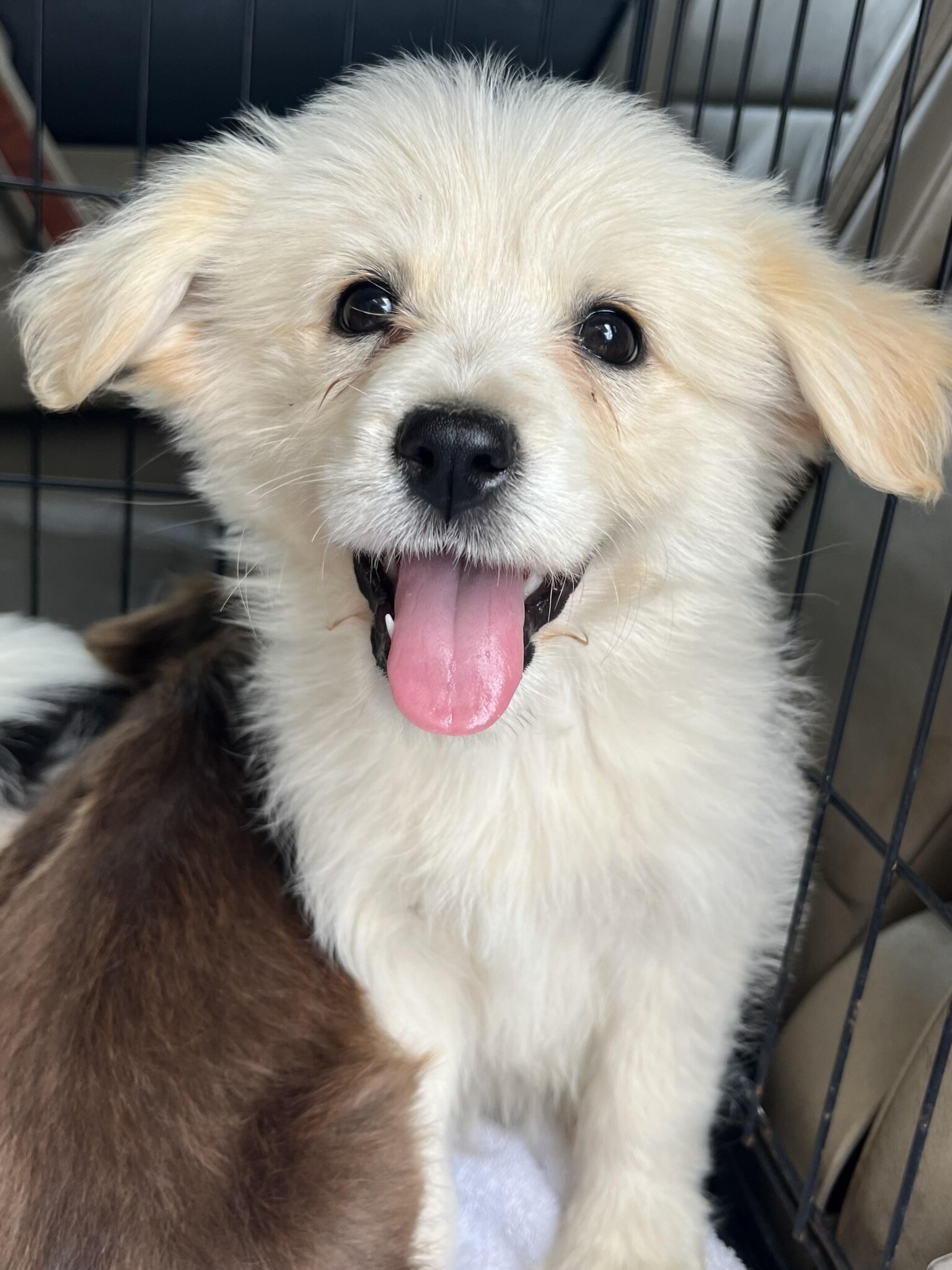 AUTUMN - ABC Columbia