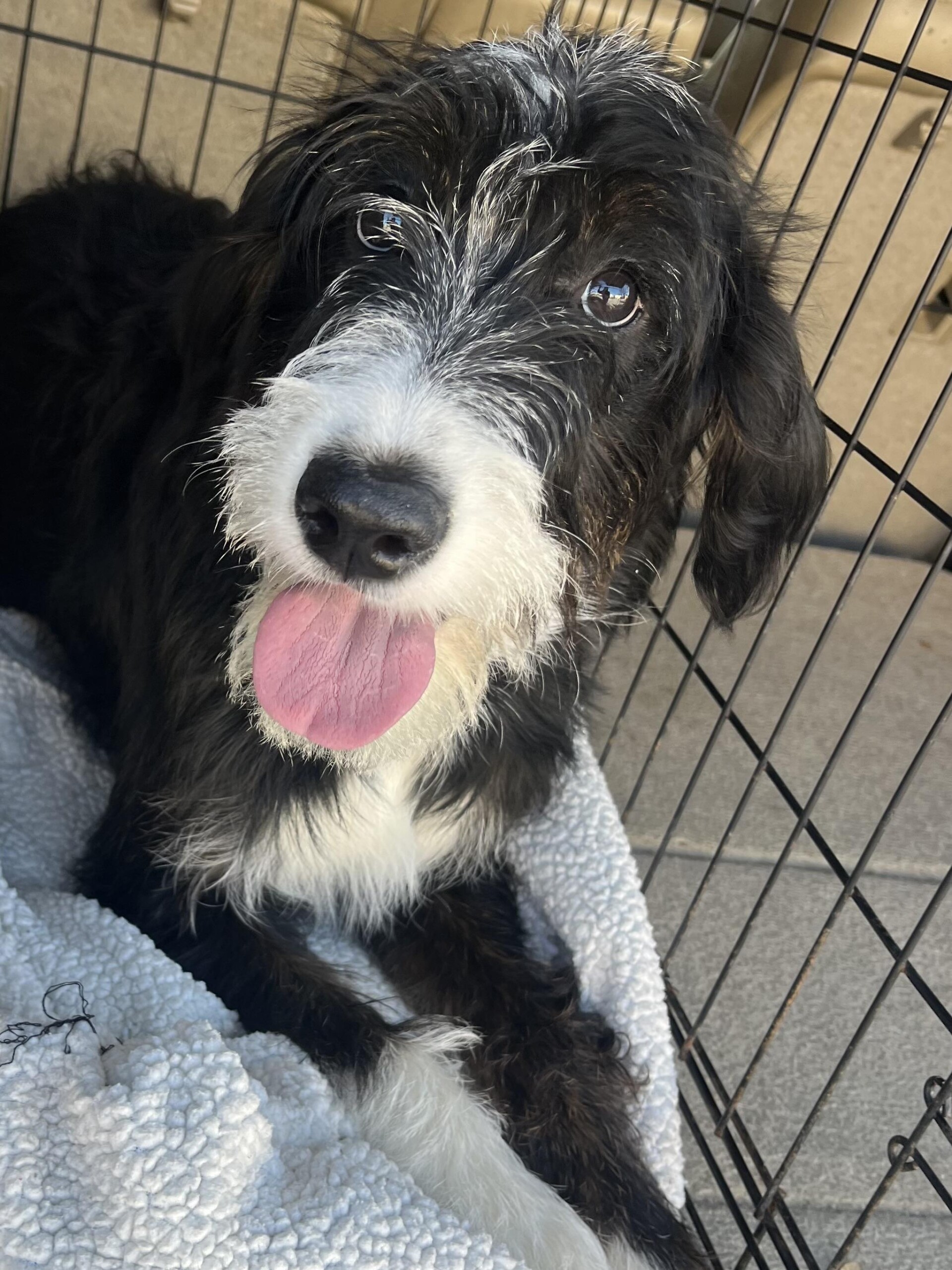 LUCY - ABC Columbia
