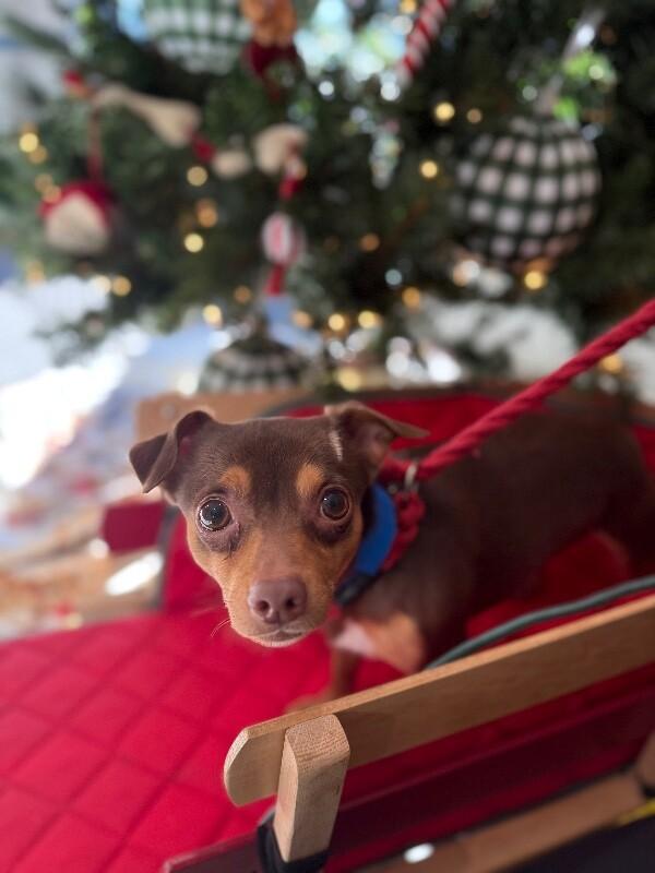 MARCO - ABC Columbia