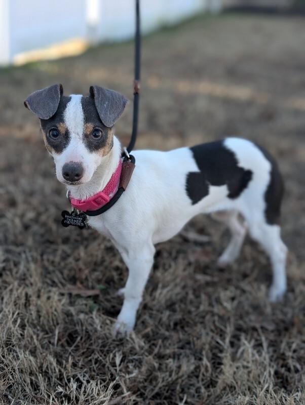 BETTY - ABC Columbia