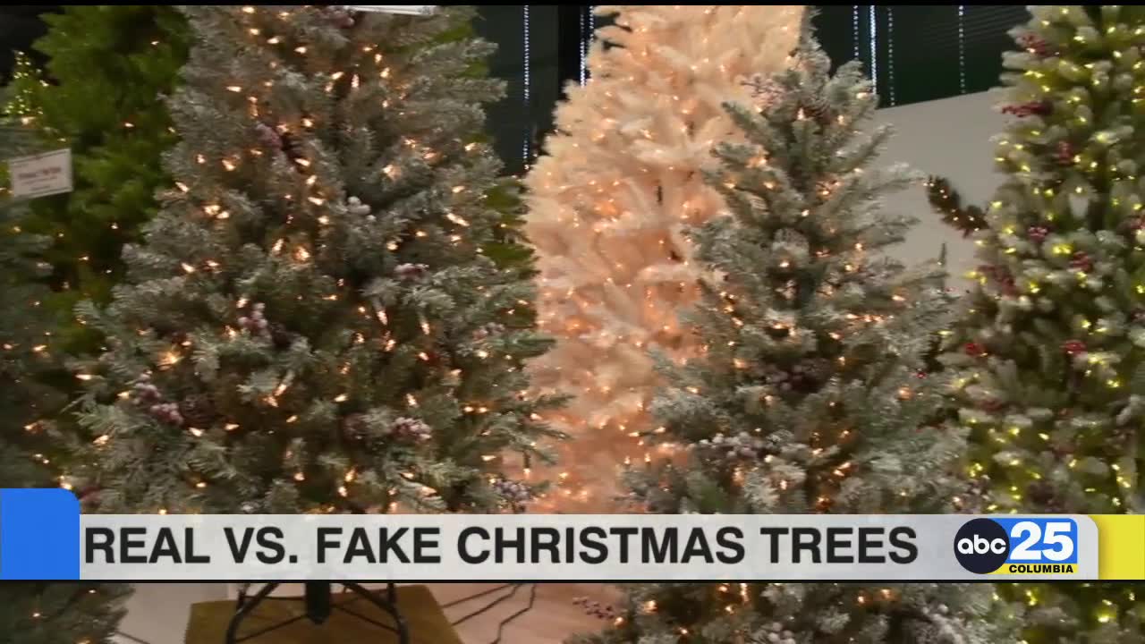 Real vs. Fake Christmas trees - ABC Columbia