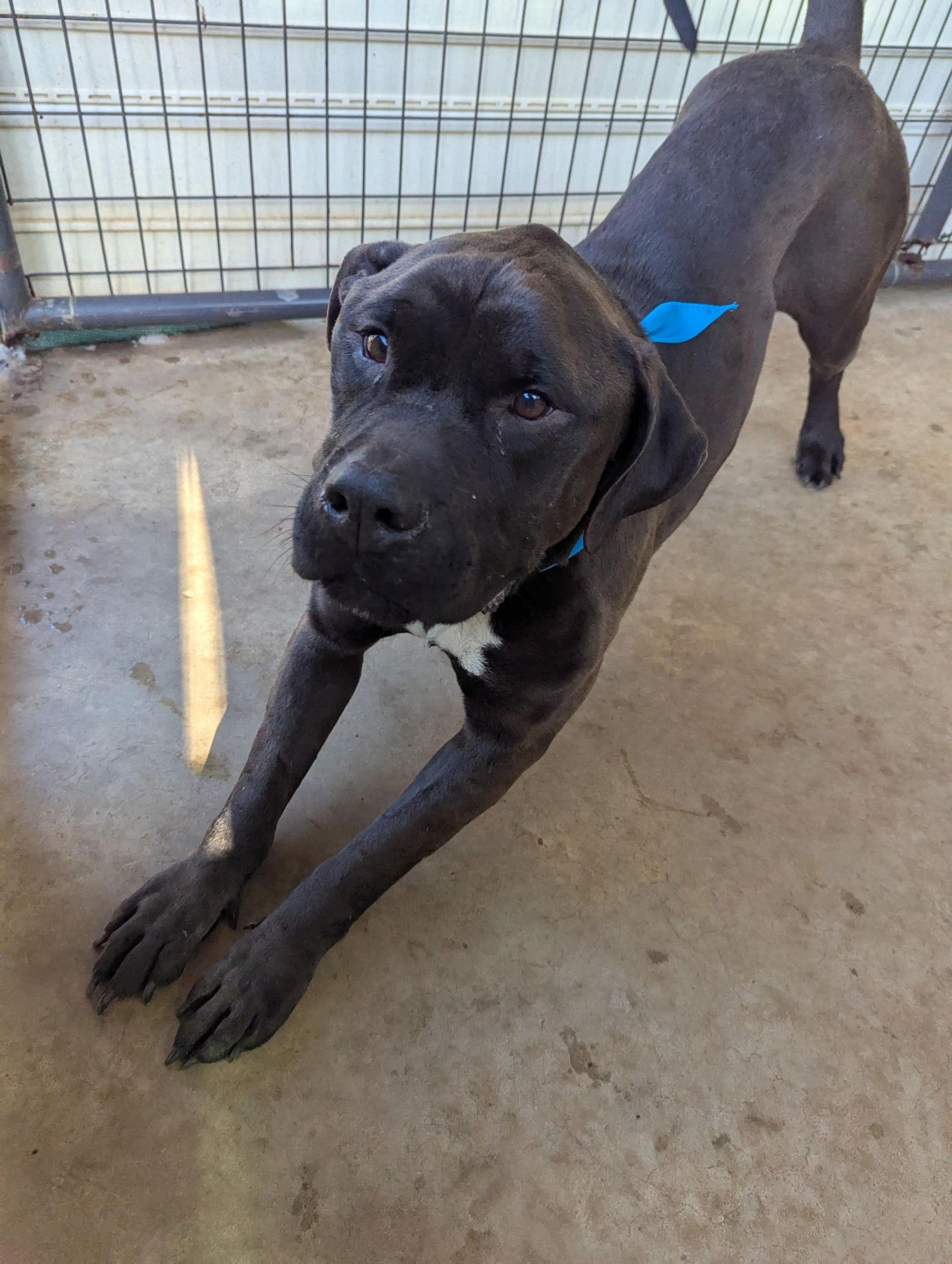 BENNY - ABC Columbia