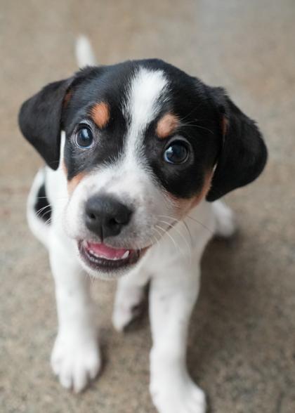 MUDSLIDE - ABC Columbia