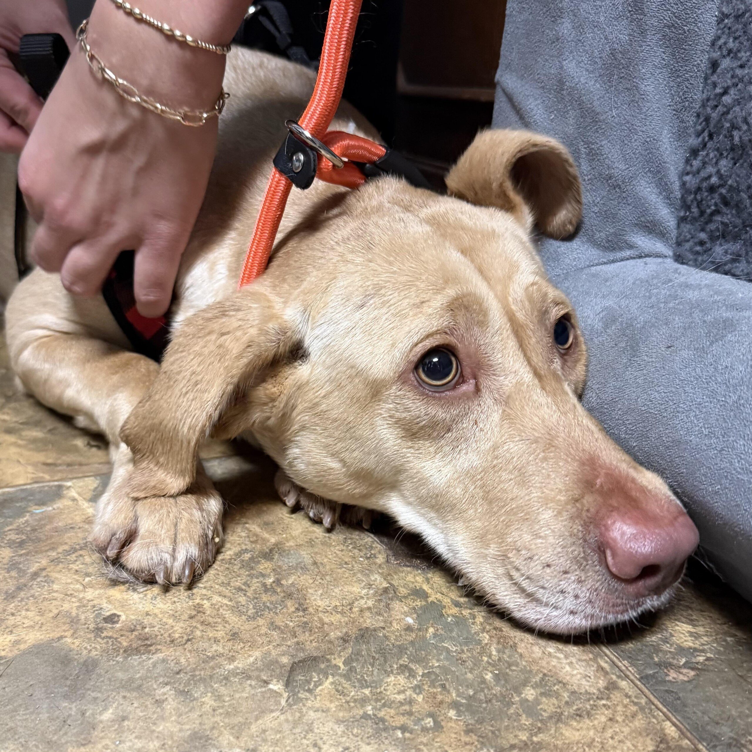 CLARKSON - ABC Columbia