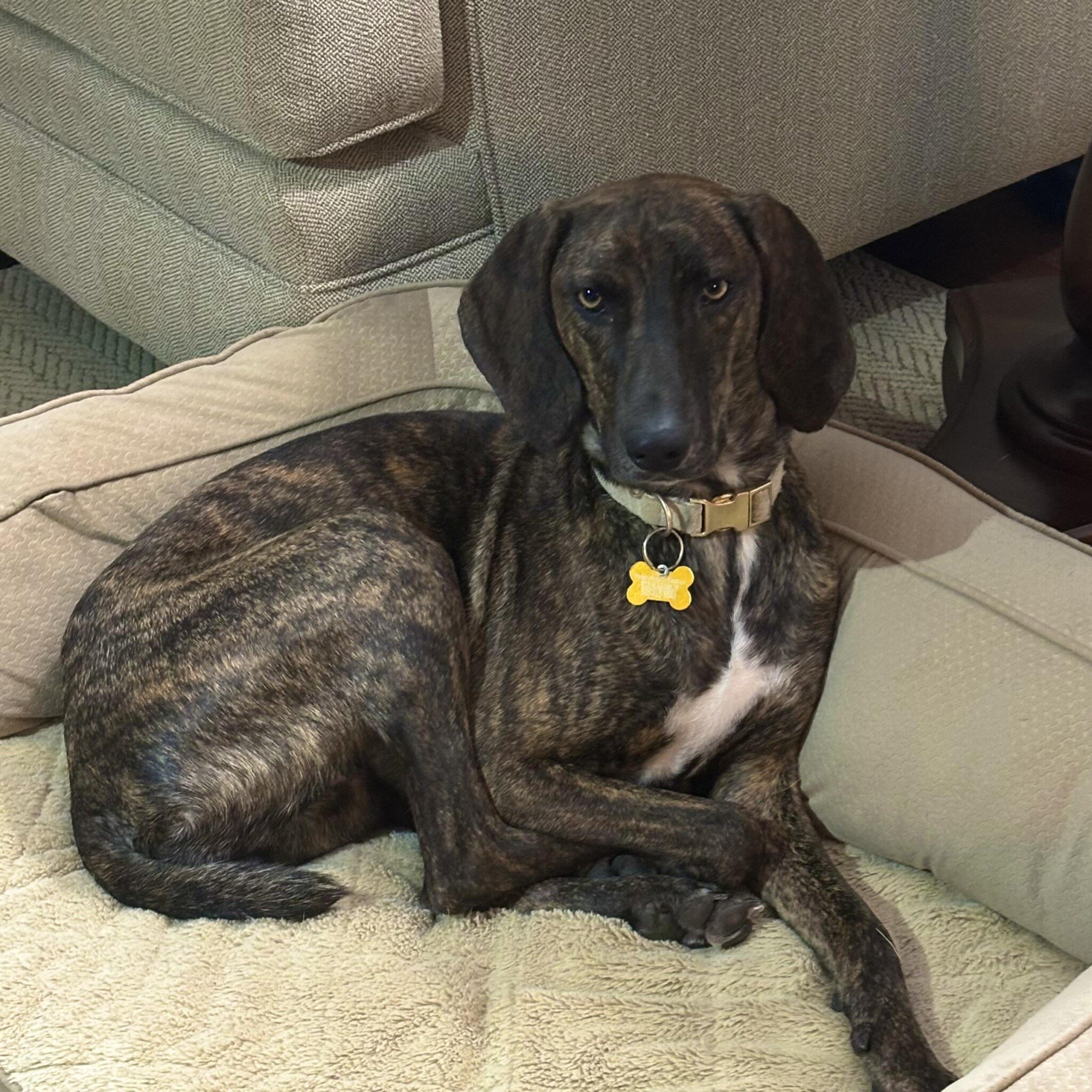 EMILY - ABC Columbia