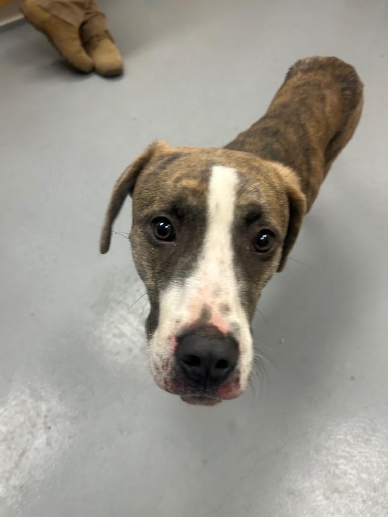 SPRITE - ABC Columbia