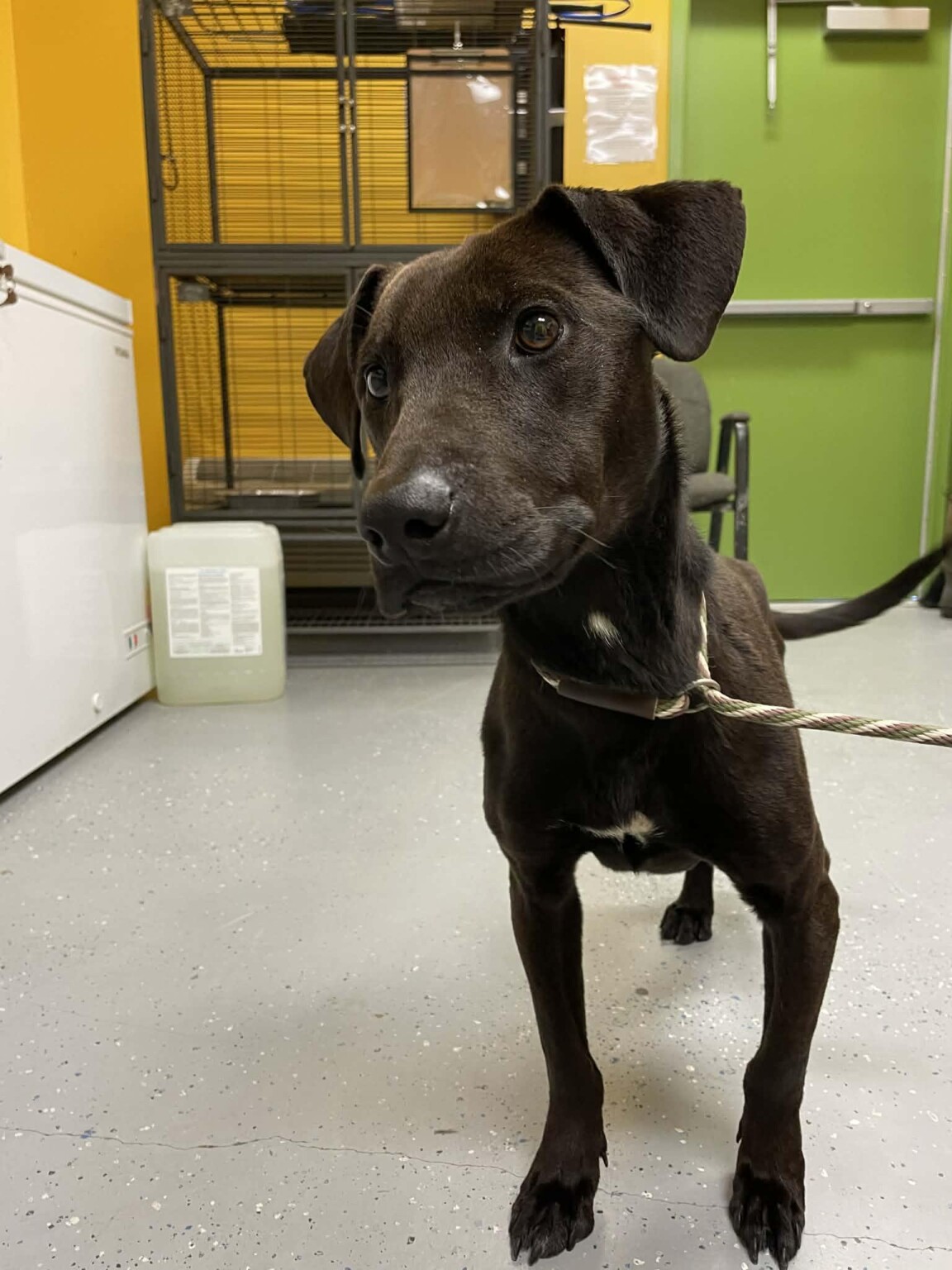 LEGOLAS - ABC Columbia