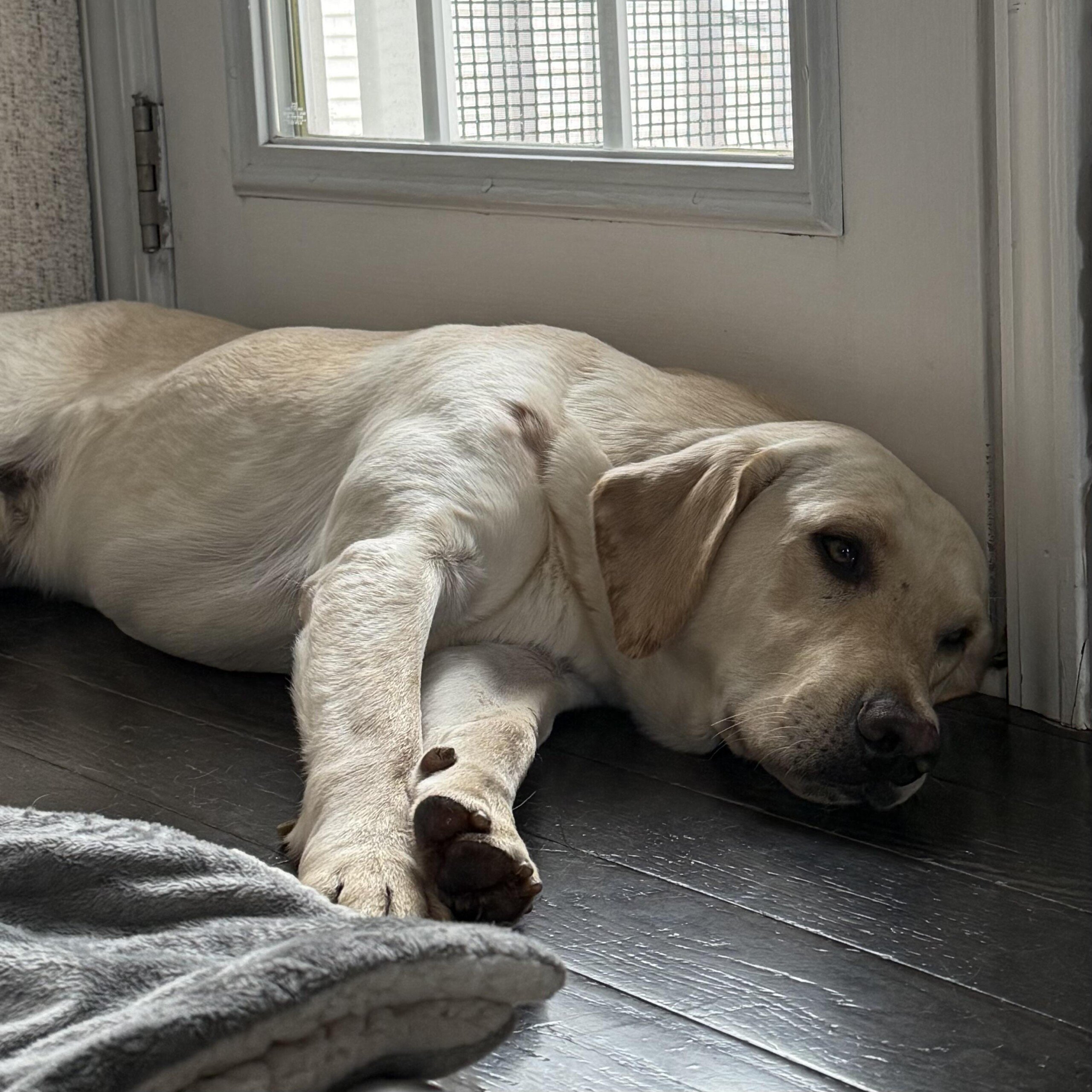 LARRY KING - ABC Columbia