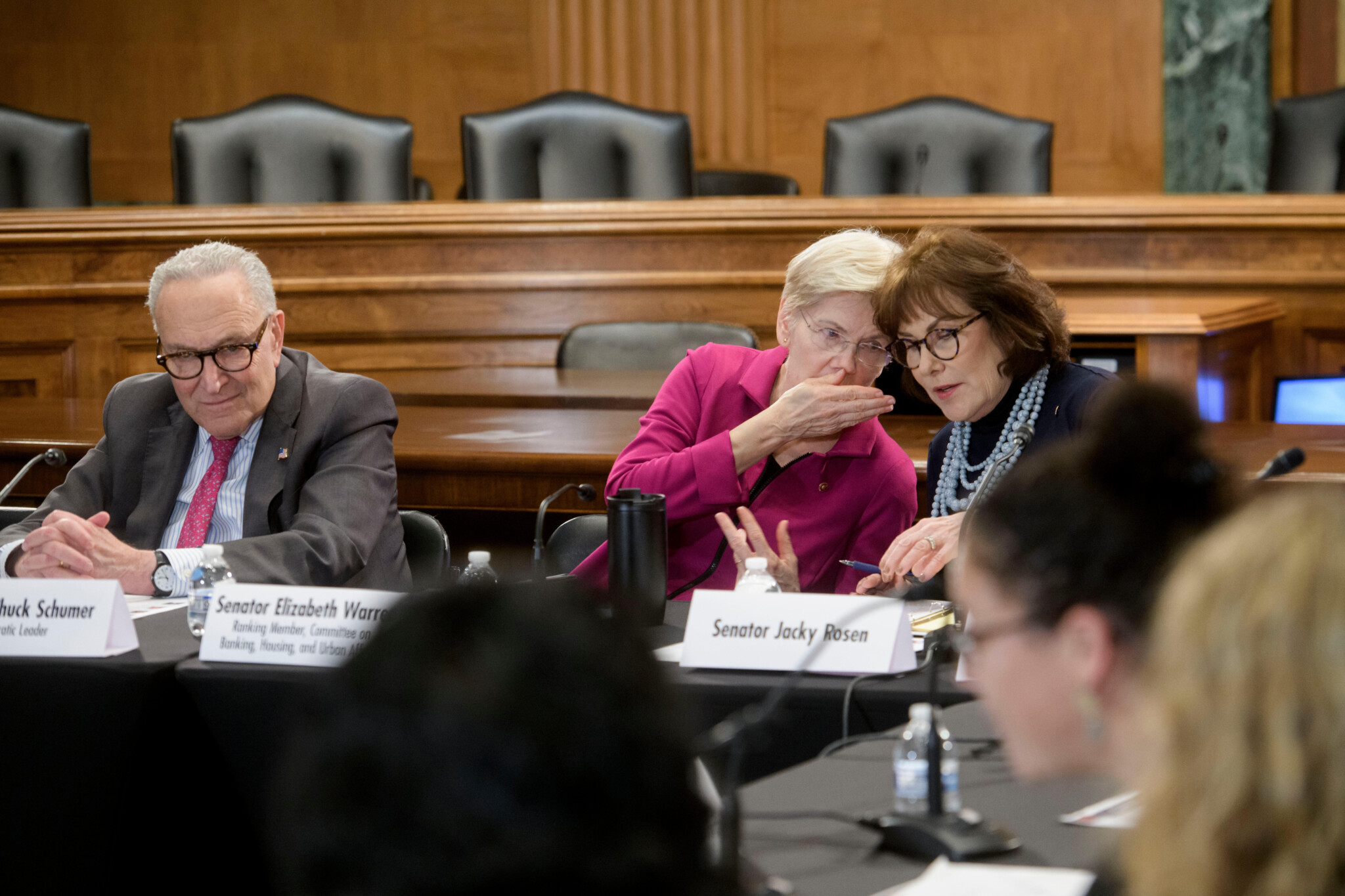 Democrats vow to oppose homeland security funds after Minnesota ...
