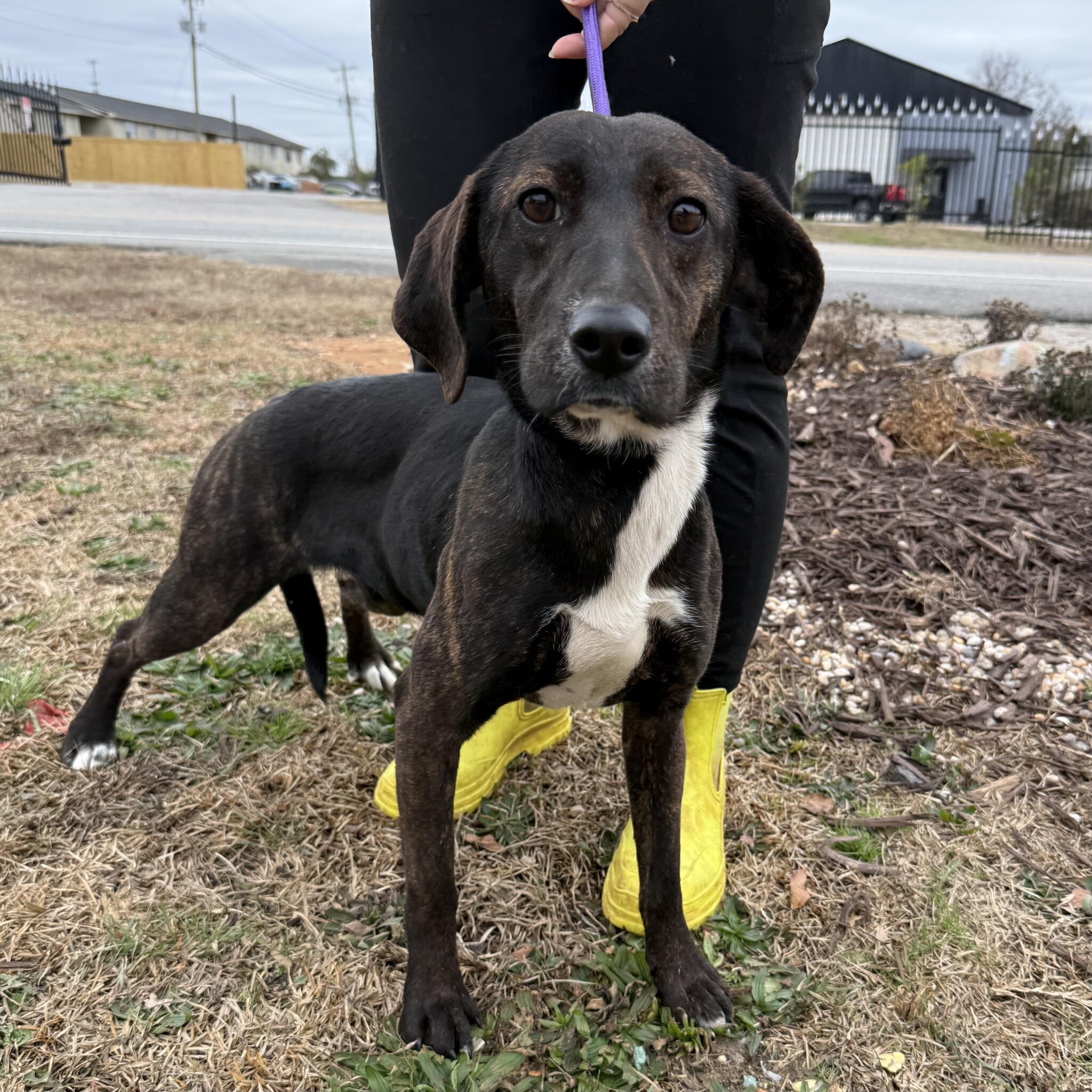 SEA SALT - ABC Columbia