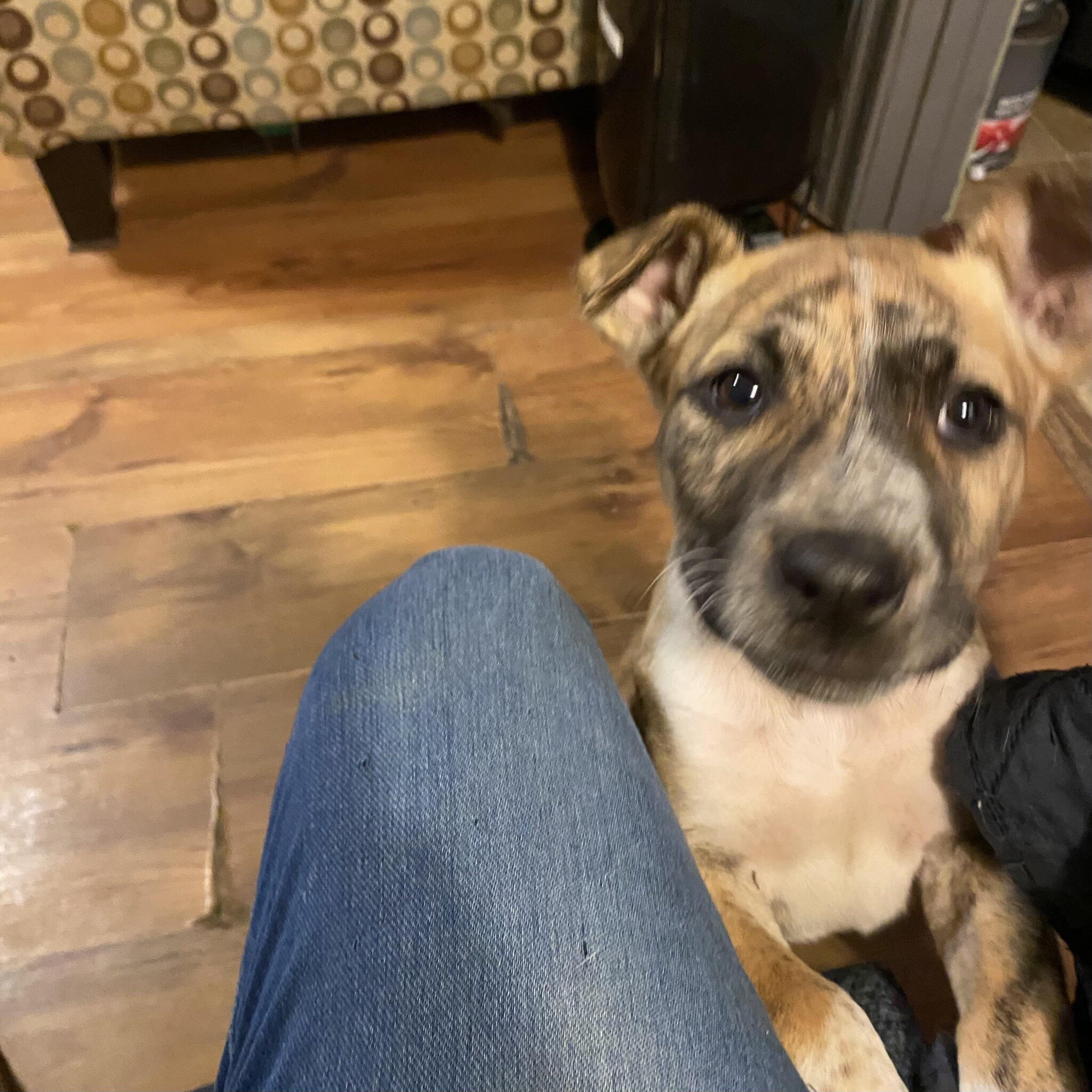 SWEETIE - ABC Columbia