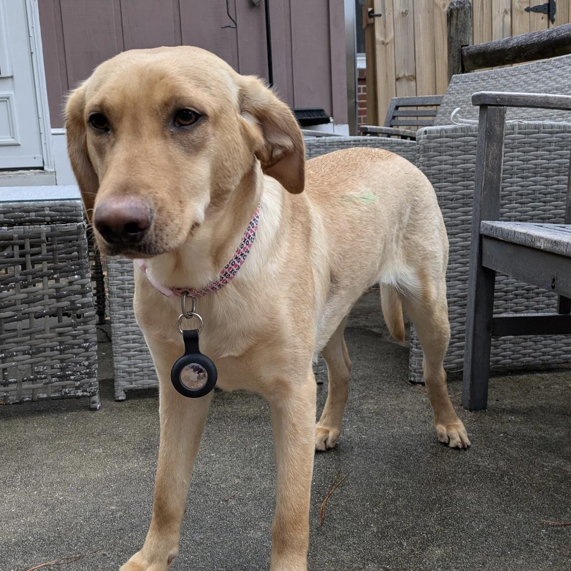 COFFEE SHOP - ABC Columbia