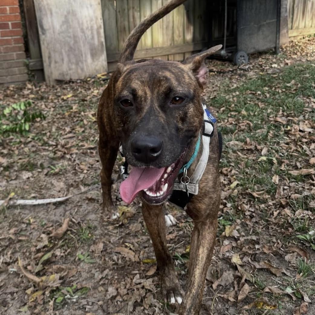 MATRIX - ABC Columbia