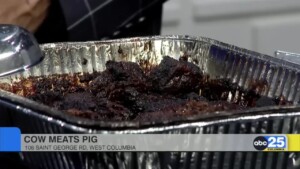 Cow Meats Pig supercut - ABC Columbia